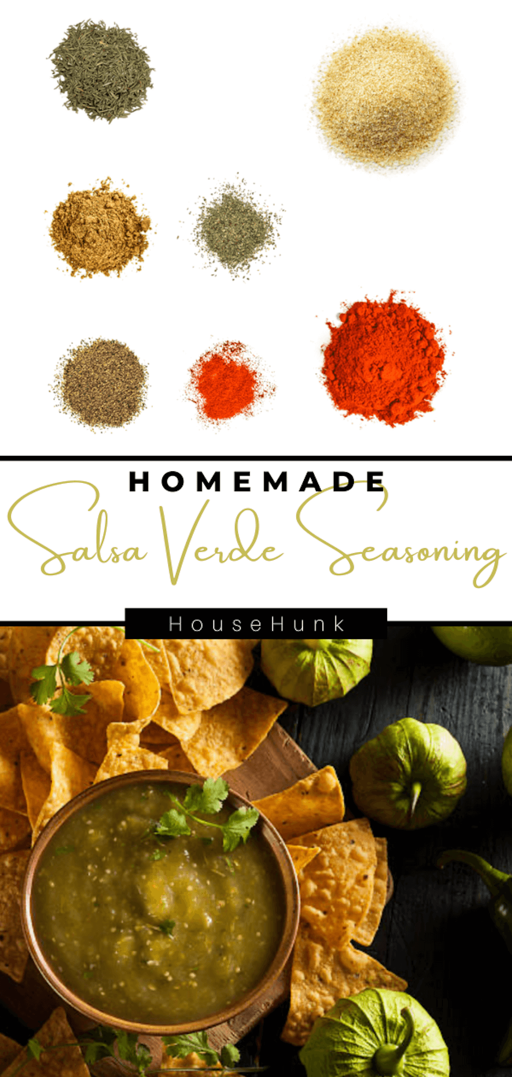 Homemade Salsa Verde Seasoning - House Hunk