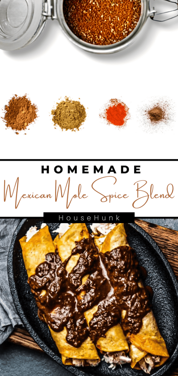 Homemade Dry Mexican Mole Spice Blend - House Hunk
