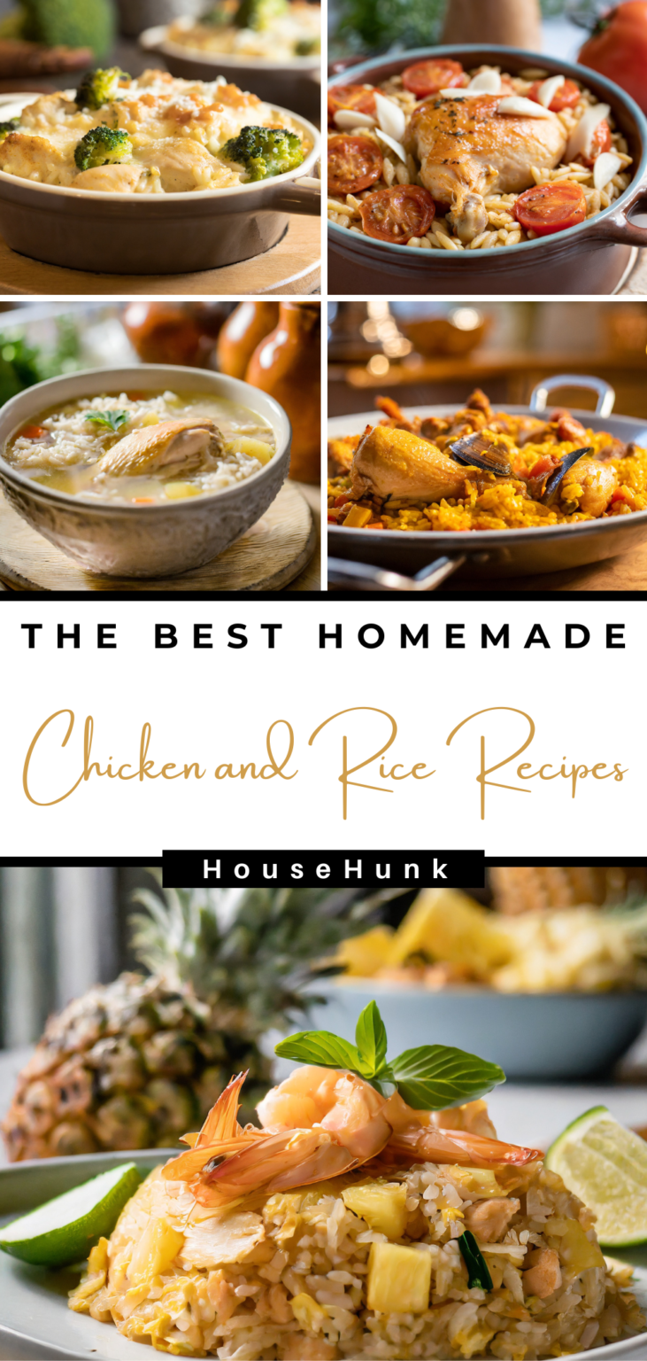 20 Versatile Chicken and Rice Recipes - House Hunk
