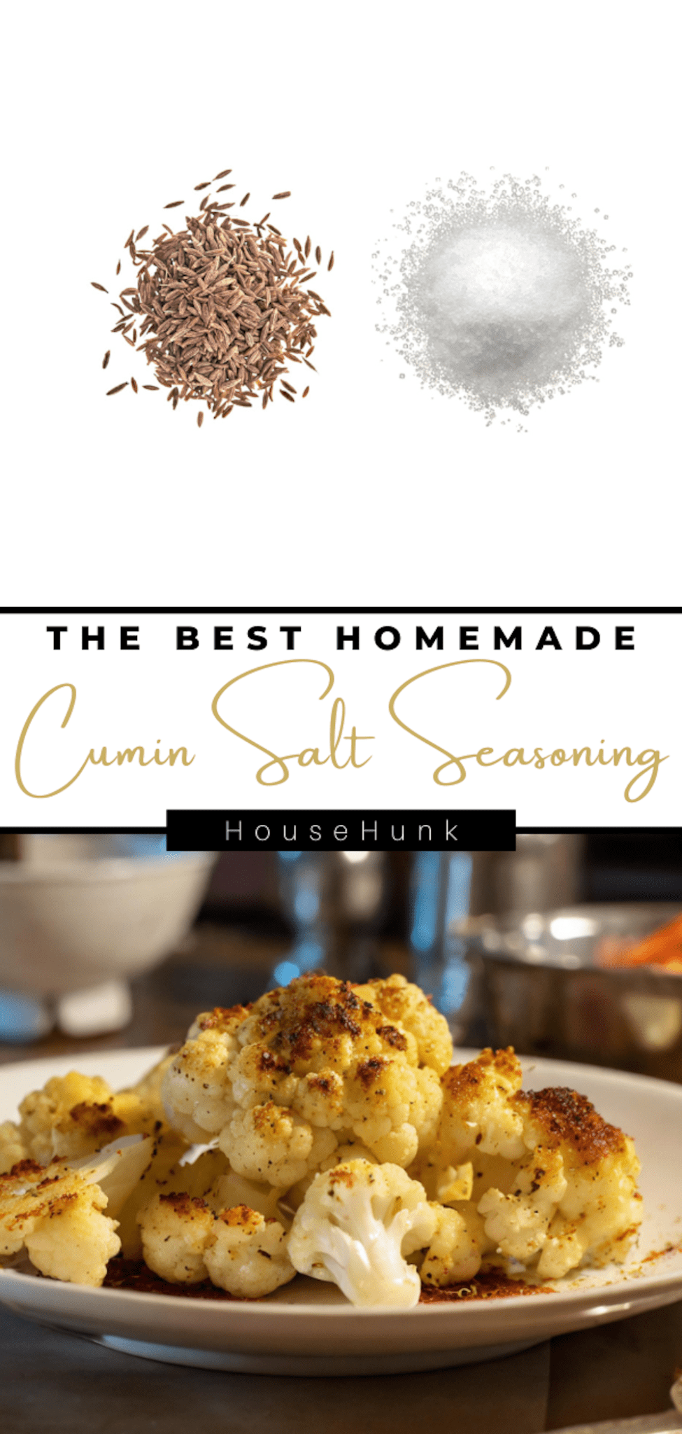 Homemade Cumin Salt Seasoning - House Hunk