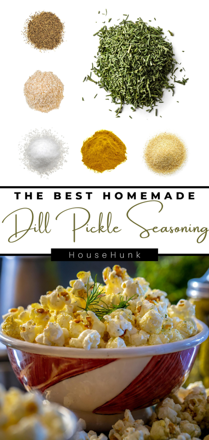 Homemade Dill Pickle Seasoning - House Hunk